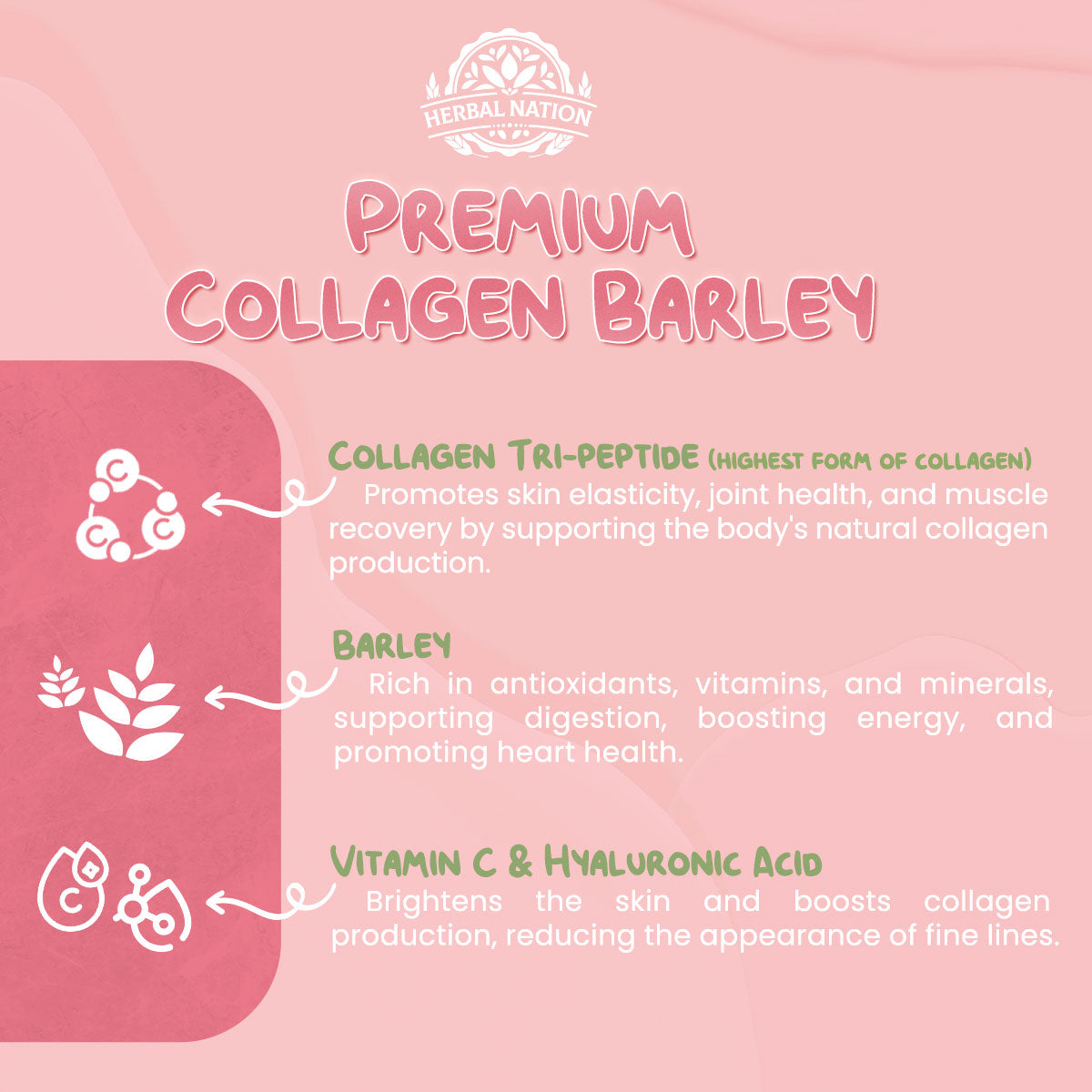 Herbal Nation Collagen + Barley – Herbal Nation Philippines
